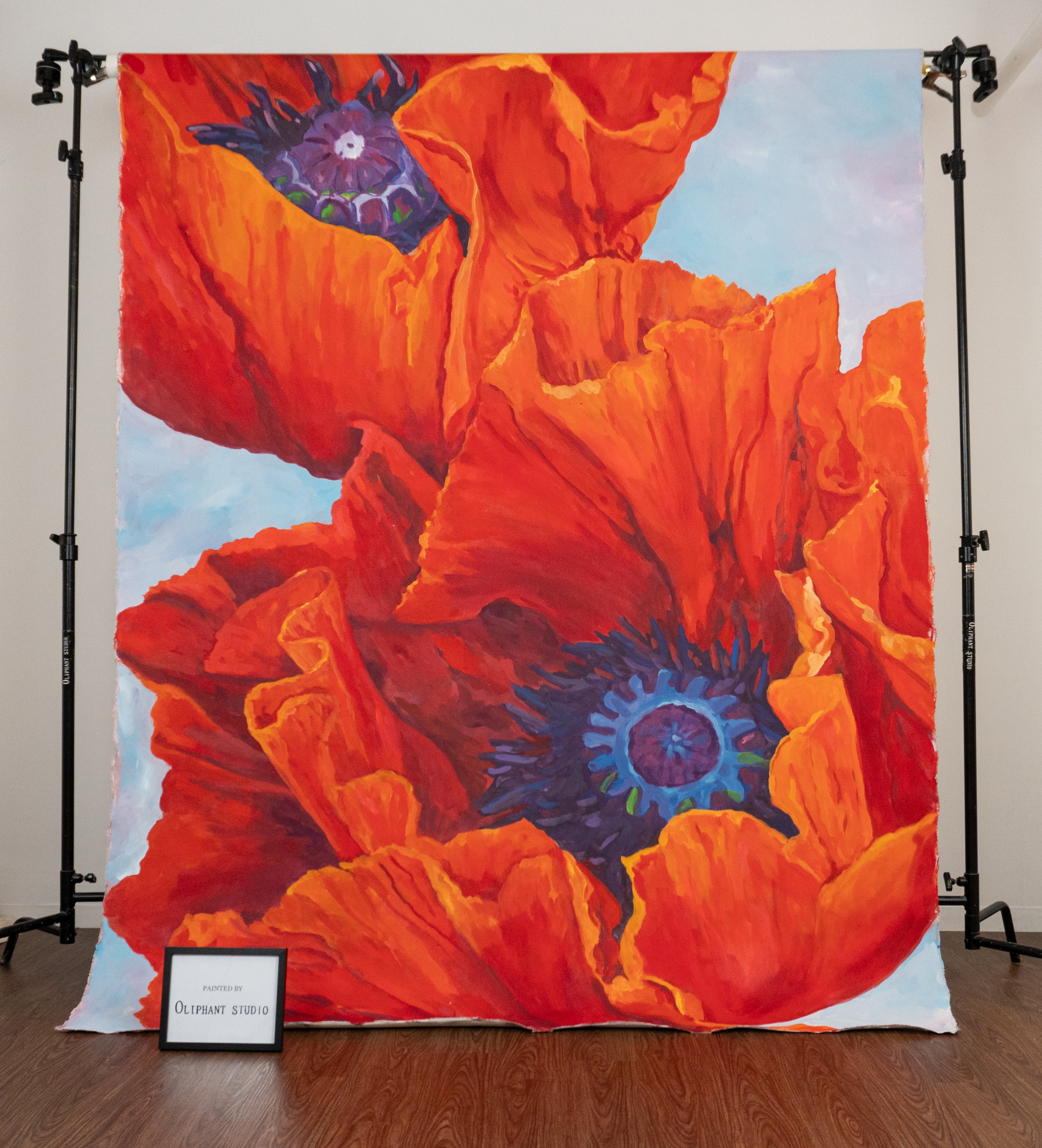 S-722 | Portrait & Studio Photography Backdrop | Oliphant Studios ...